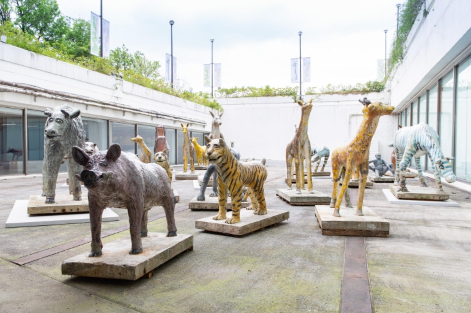 大人也愛！北美館兒藝中心《靜 • 物》開展！結合雕塑、錄像、空間裝置，水泥動物園、親子工作坊讓藝術欣賞與親子共學一次融合｜Mombaby 媽媽寶寶懷孕生活網