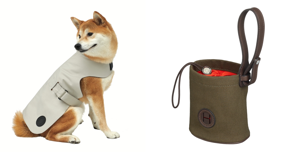 不只凱莉包、柏金包有看頭！Hermès精品寵物用品Top5，時髦毛小孩雨天也能優雅出門 | Bella.tw儂儂